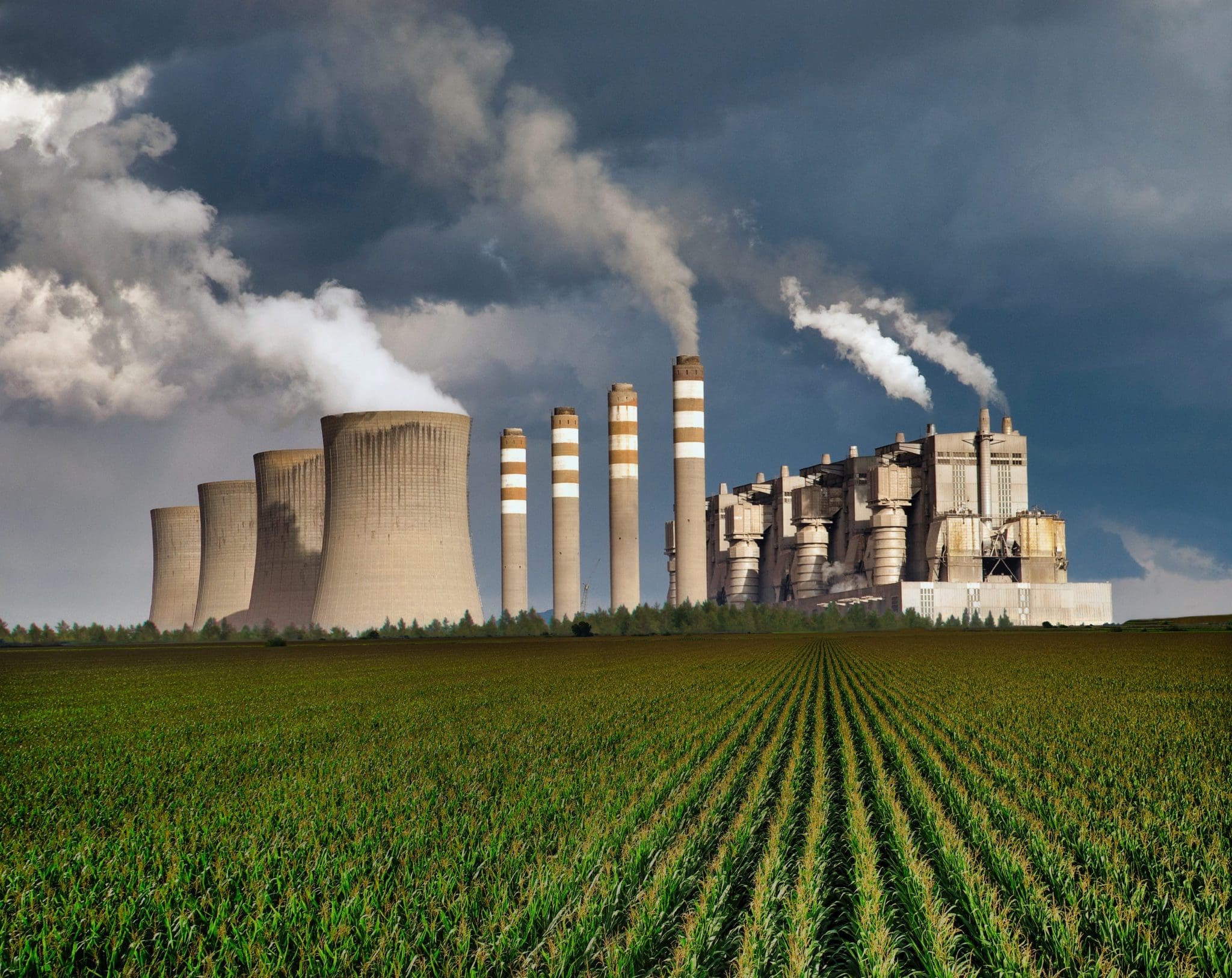 Kentucky Legislature Passes Bill to Protect… | FBT Gibbons